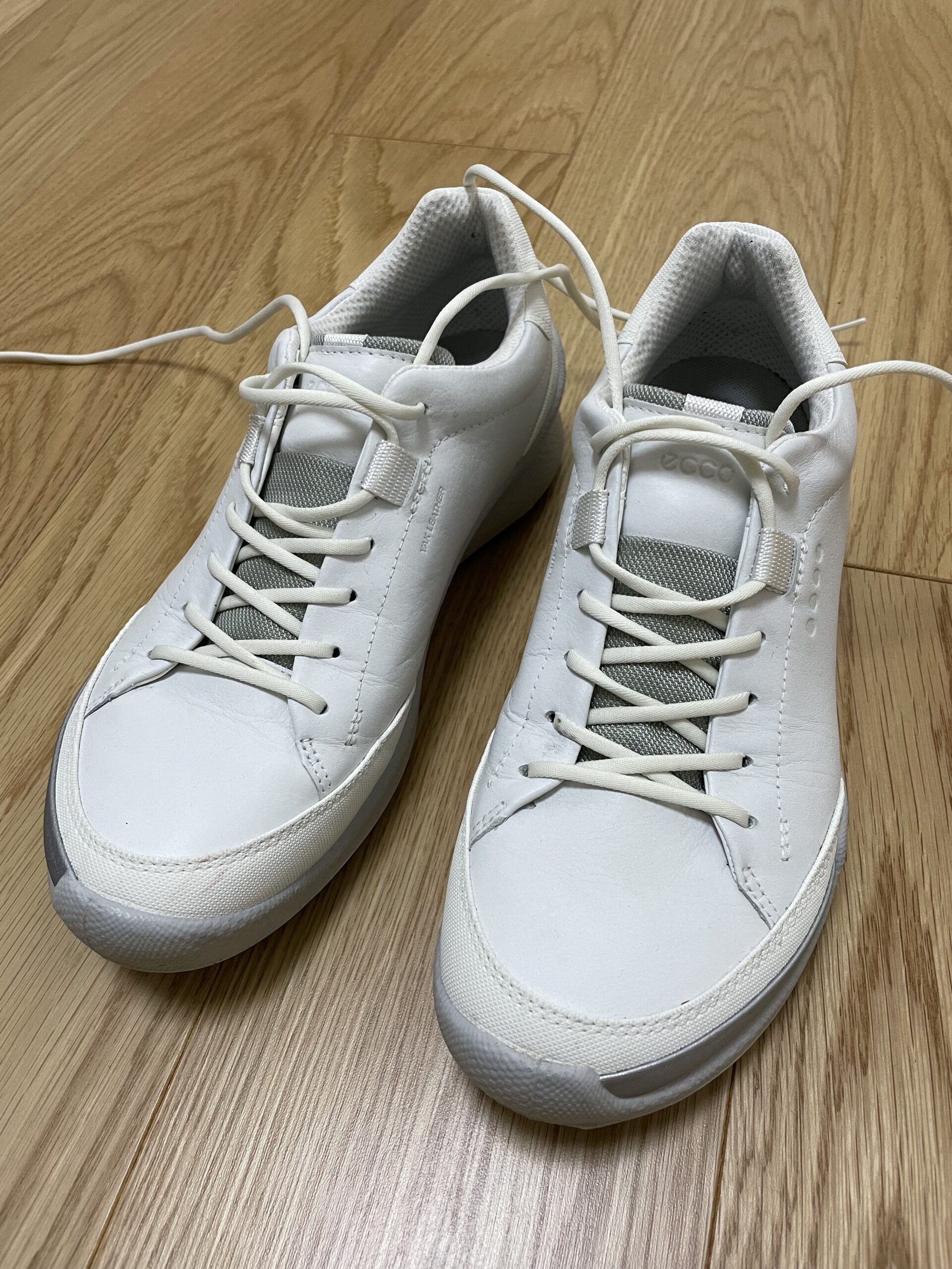 Eccoゴルフシューズを購入 | ひょーゴルフ